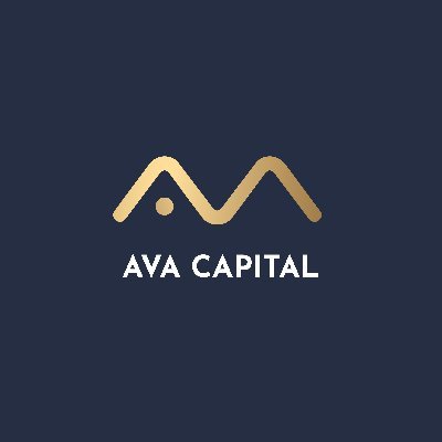 AVA Capital Portfolio, Top Projects by ROI & Recent Investments | Chain ...