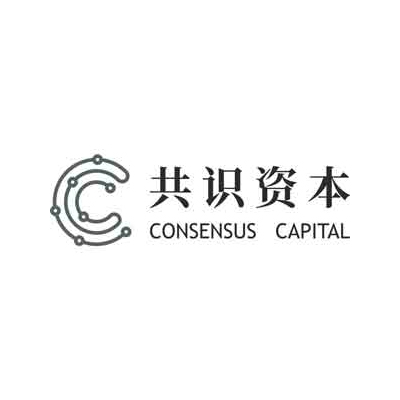 Consensus Capital Portfolio, Top Projects by ROI & Recent Investments ...