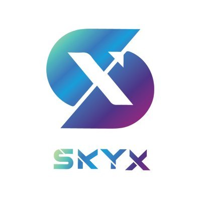 SKYX Portfolio, Top Projects by ROI & Recent Investments | Chain Broker