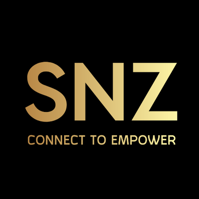 SNZ Holding Portfolio, Top Projects by ROI & Recent Investments | Chain ...