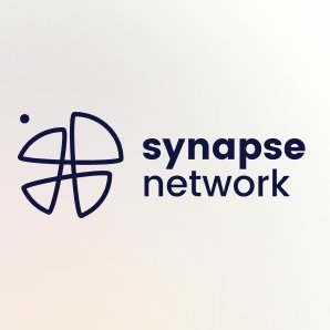 Synapse Network - Top Launchpad Projects by ROI & Top Gainers | Chain ...