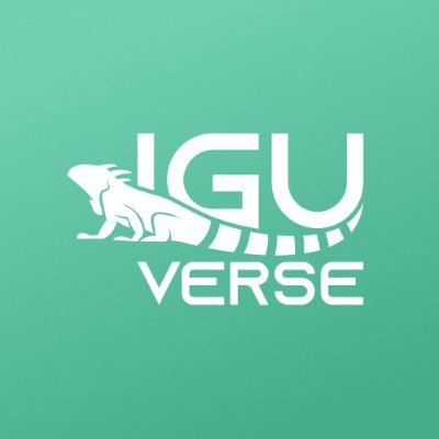 IguVerse (IGU) Price, Investors & Funding, Charts, Market Cap | Chain ...