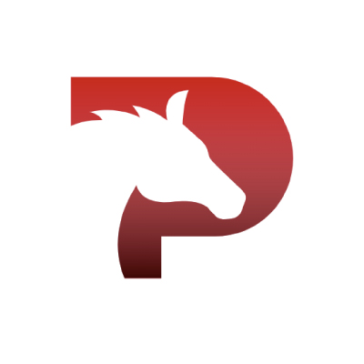 Pegaxy (PGX) Price, Investors & Funding, Charts, Market Cap | Chain Broker