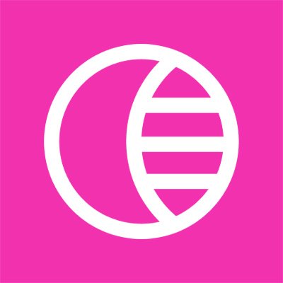 Pink Moon Studios (PIMS) Price, Investors & Funding, Charts, Market Cap | Chain Broker