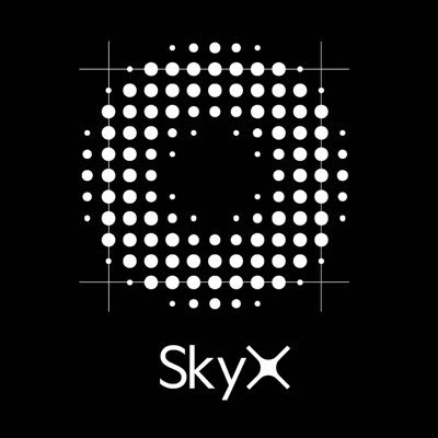 SkyX (None) Price, Investors & Funding, Charts, Market Cap | Chain Broker